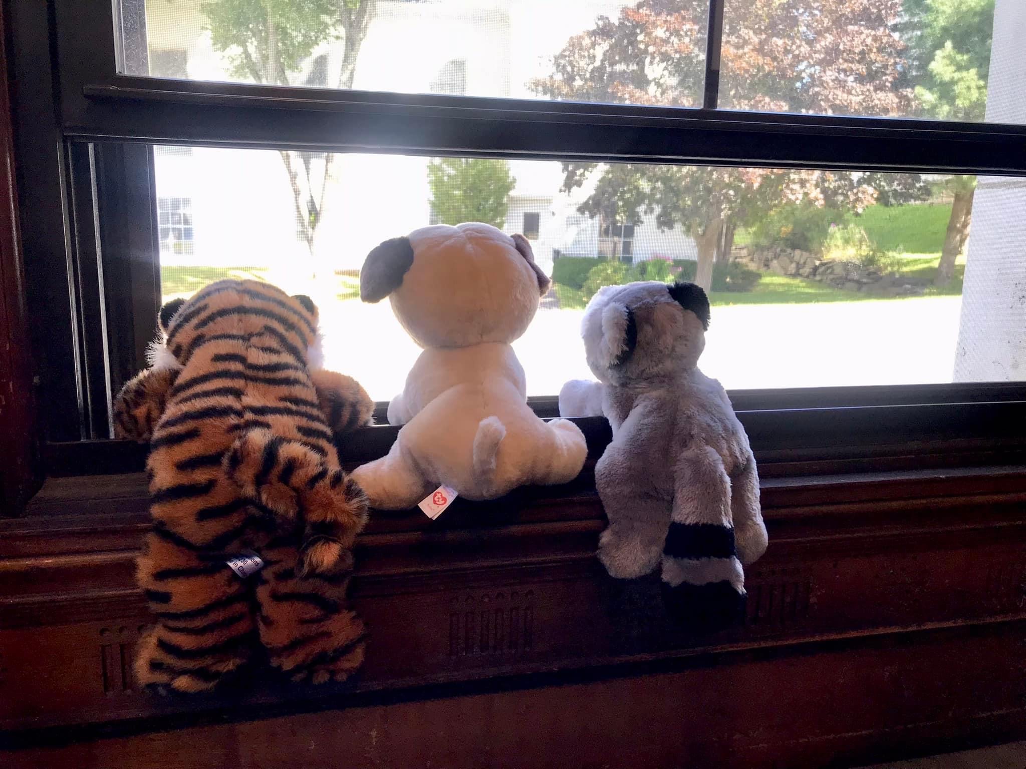 Stuffed Animal Sleepover – Abbott Memorial Library