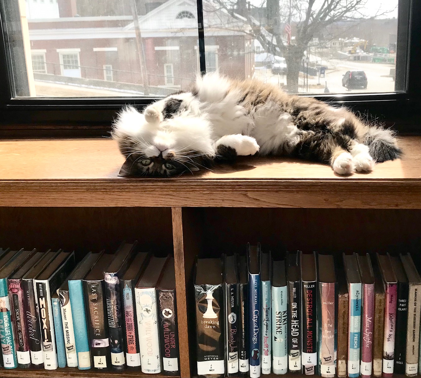 Denver Invites You to Visit – Abbott Memorial Library